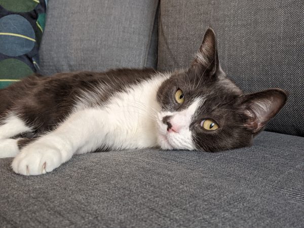 People – Cara Manning's Gas Biogeochemistry Lab at UConn