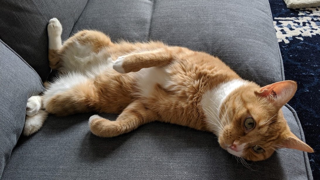 People – Cara Manning's Gas Biogeochemistry Lab at UConn