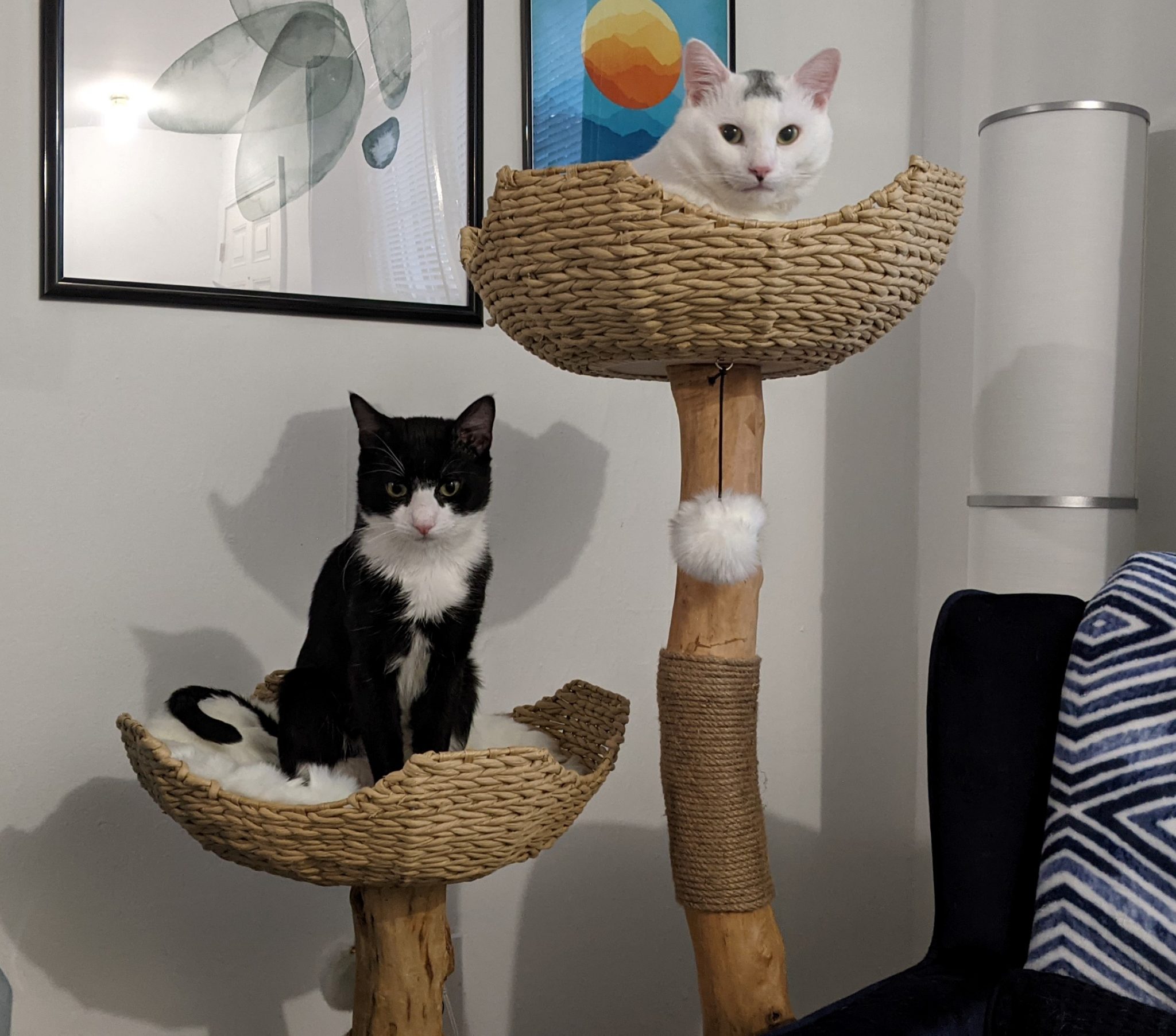 People – Cara Manning's Gas Biogeochemistry Lab at UConn